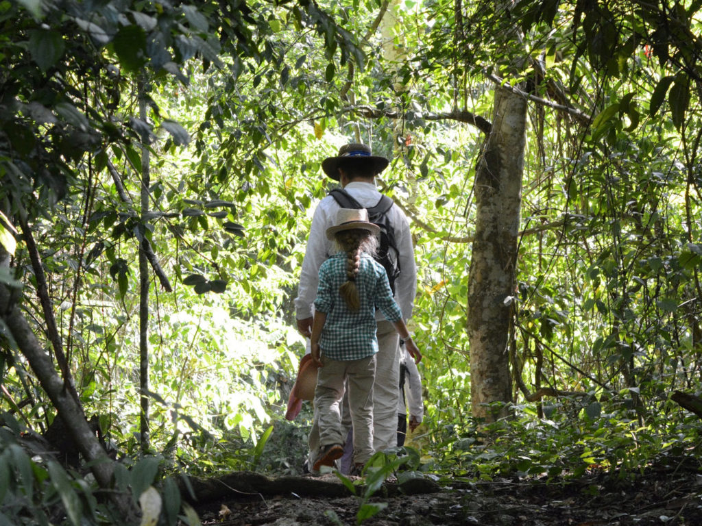Wildlife Jungle Hiking Experience - Kayak in Tulum
