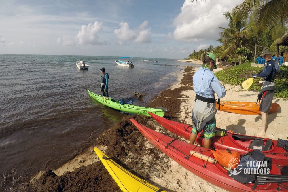 Caribbean Sea Kayaking & Reef Snorkeling Trip - Kayak in Tulum
